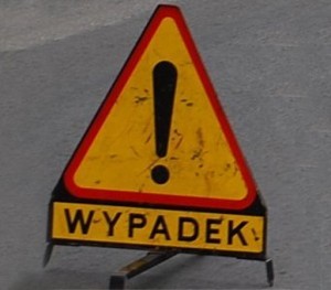 Policja poszukuje świadków śmiertelnego wypadku Polityka Wybory